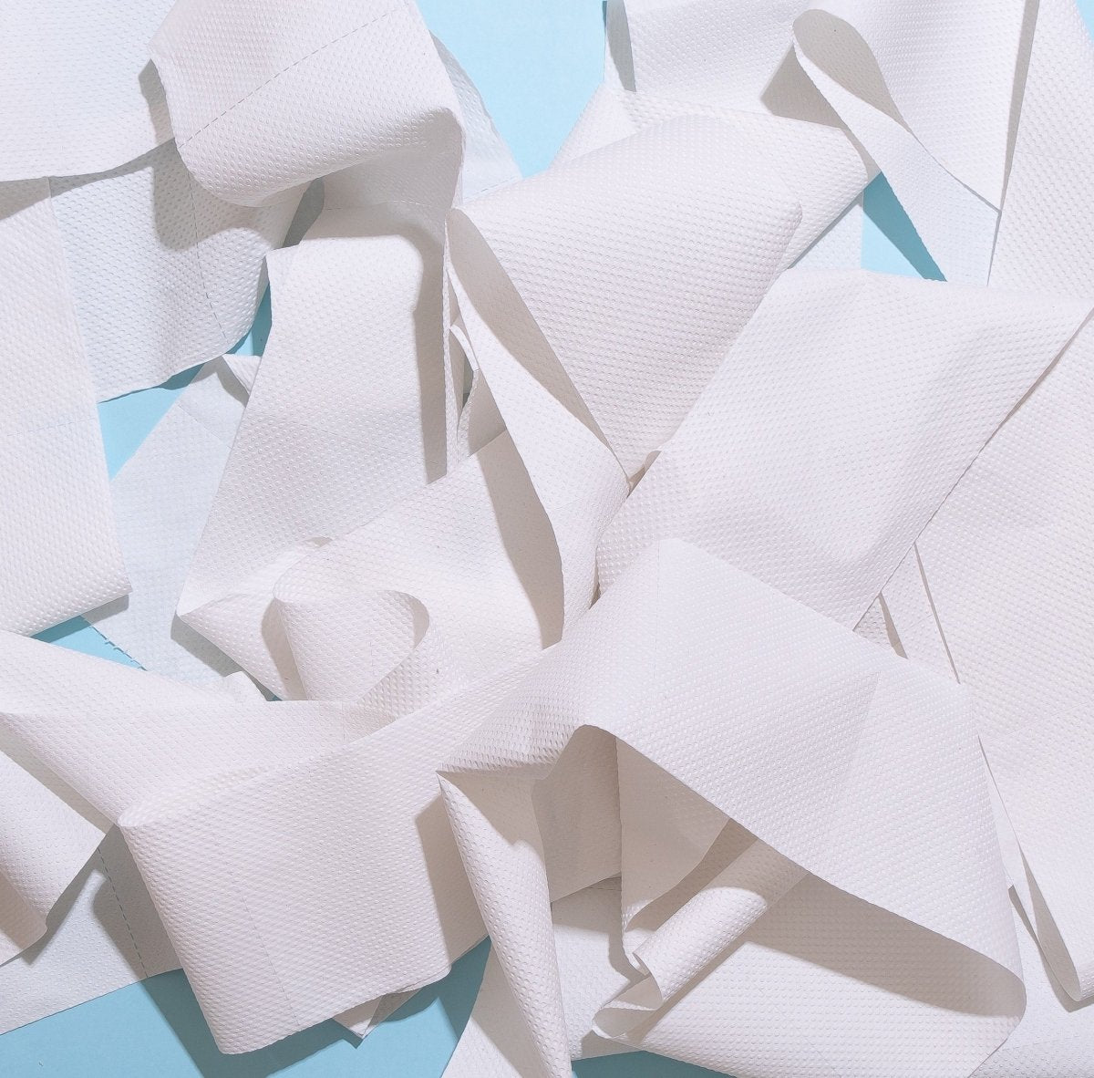 What Did People Use Before Toilet Paper?! | History of Toilet Paper ...